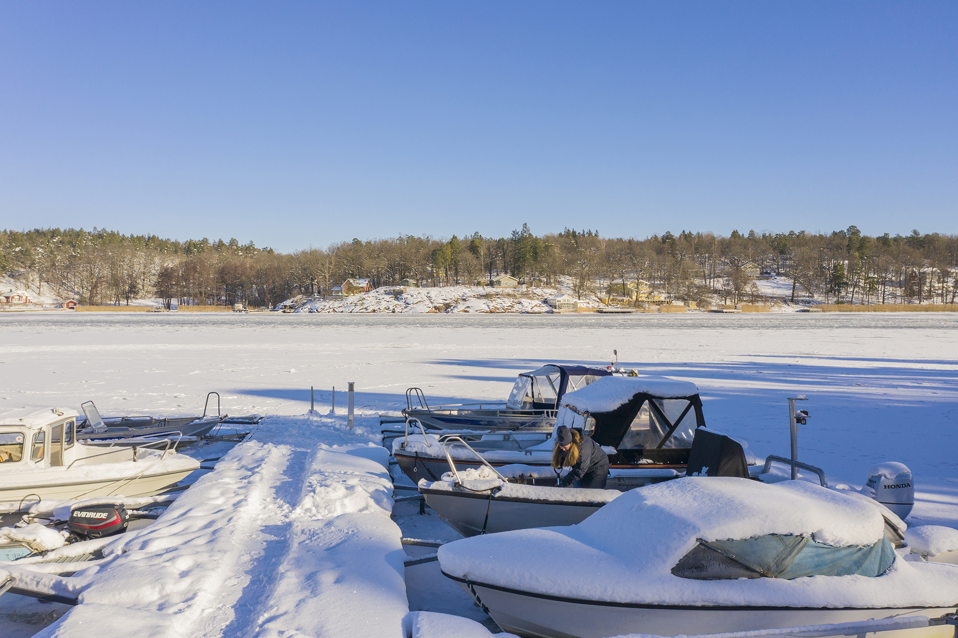 Livet på Tranholmen | Sjönära Fastigheter
